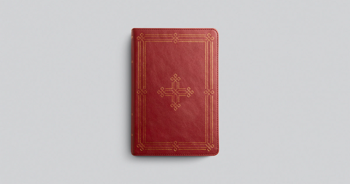 ESV Study Bible - Personal Size (TruTone®, Crimson, Engraved Cross Des ...